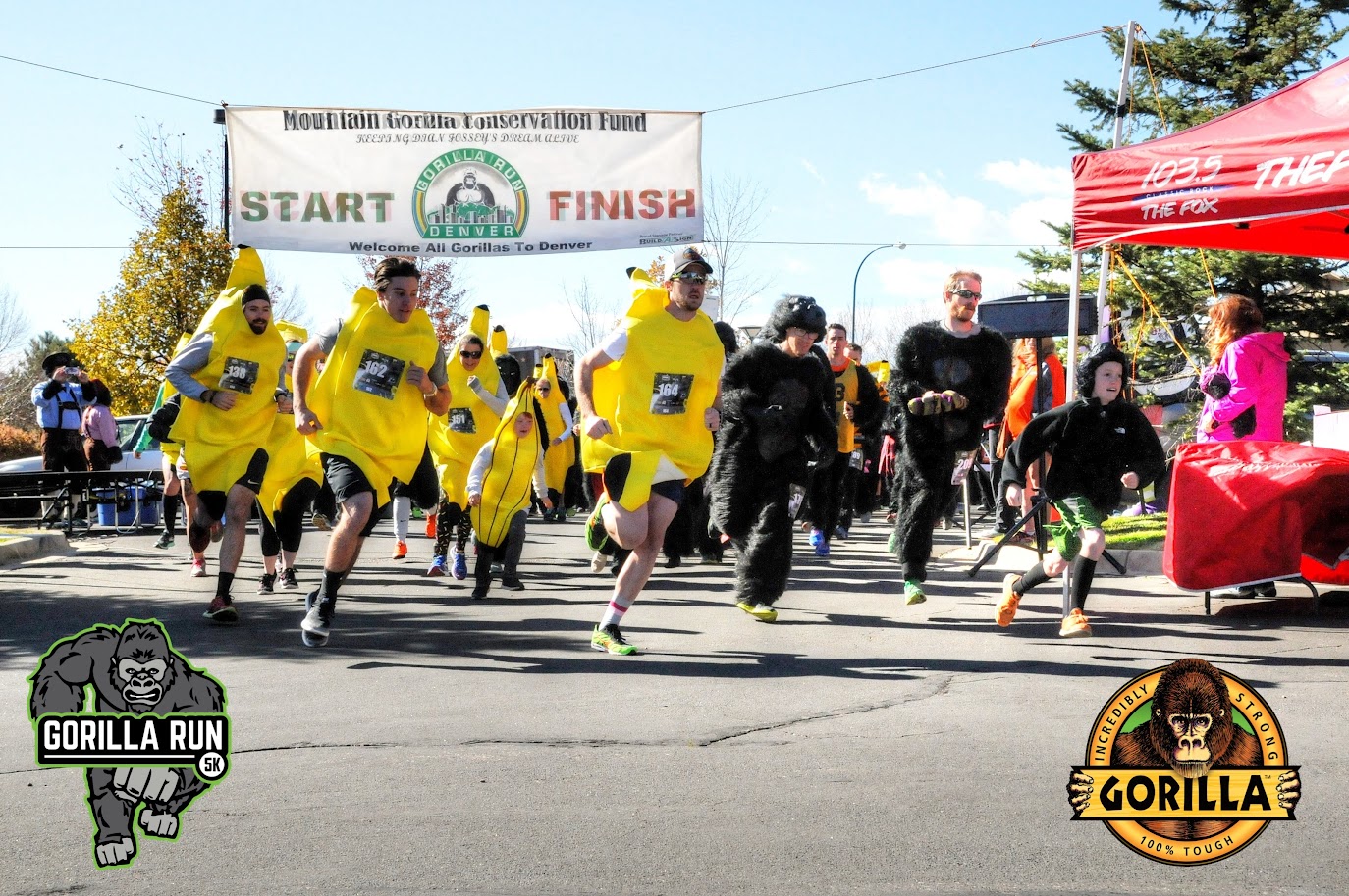 Denver Gorilla Run - Ad-Apt | A Digital Marketing Agency